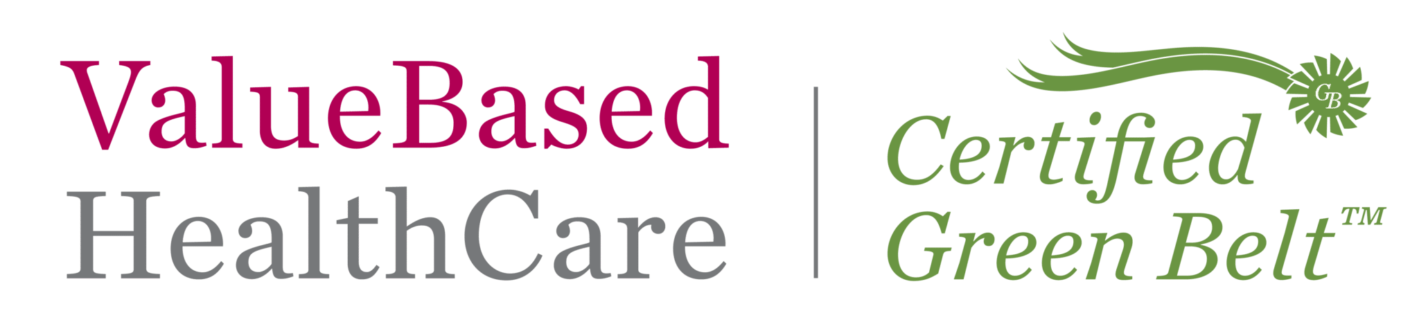 VBHC Green Belt Certification - VBHC Center Europe